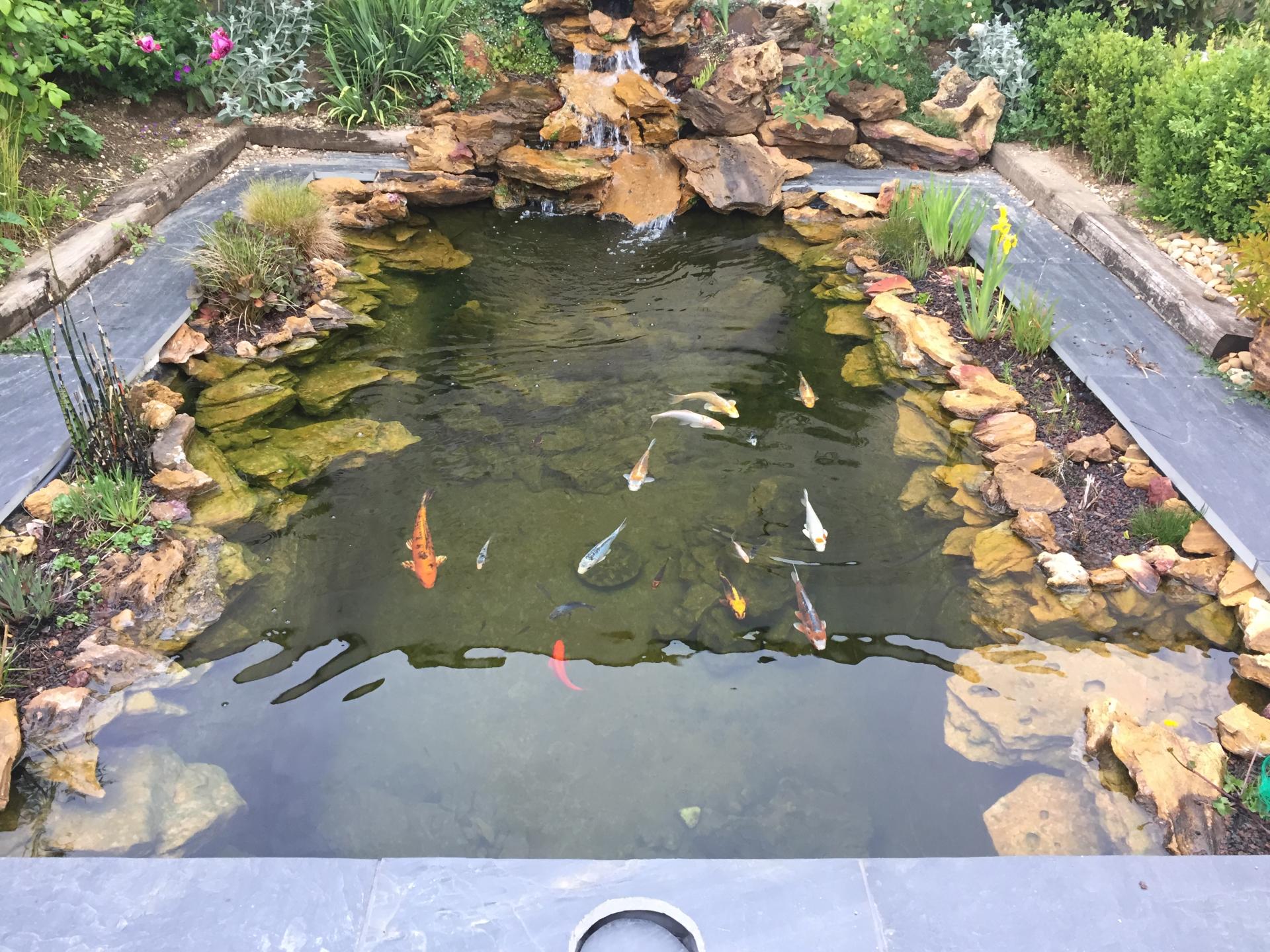 Conseils d'expert - Expert Bassin